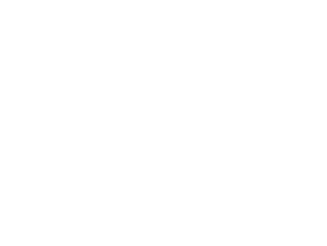 Inclusion - Halff